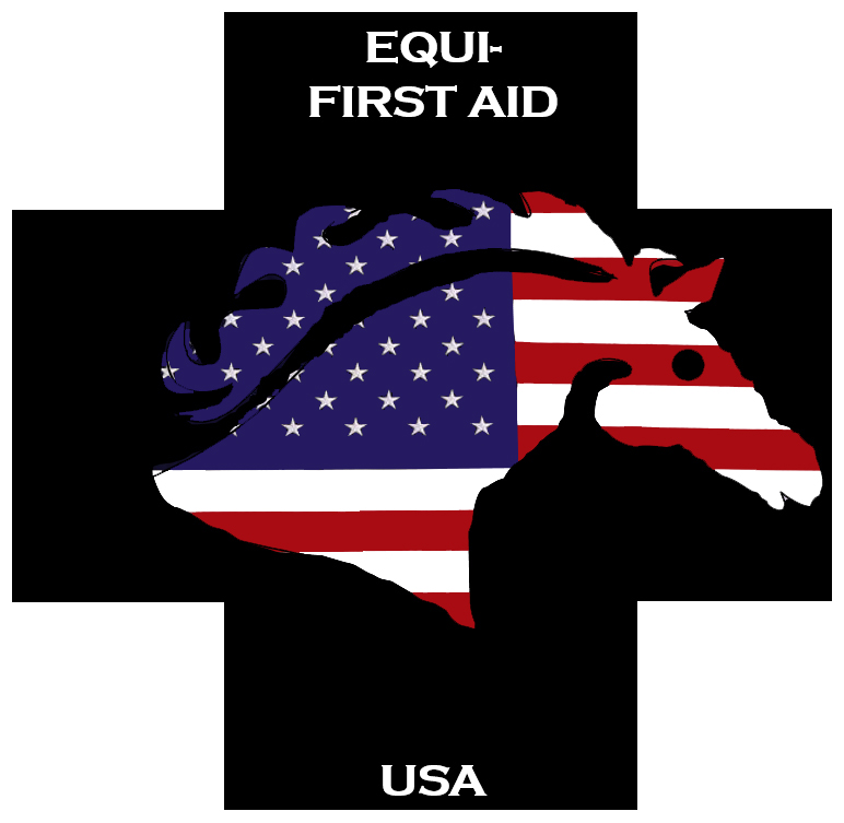 Equine First Aid – Castlerock Morgans